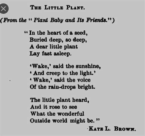 Создать мем Song Poem стих на английском 16 строк английский стих Картинки Meme