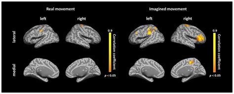 Spatial Distributions Of Significant Correlations Between Decoding