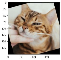 Opencv Python Opencv Crop Rotate Resize