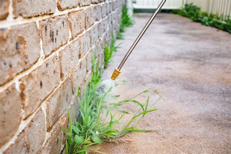 Lesco Prosecutor Pro Non Selective Herbicide Glyphosate 41