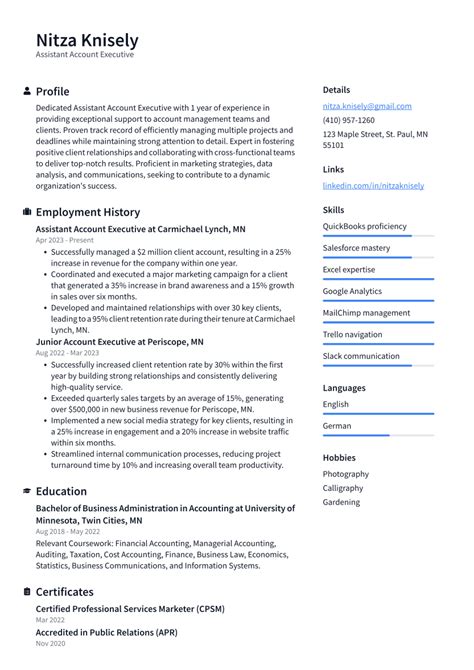 Top 17 Assistant Account Executive Resume Objective Examples