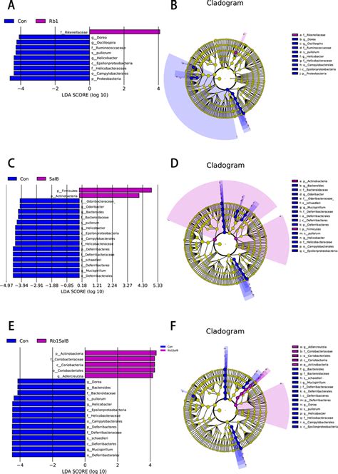 Linear Discriminate Analysis Lda Effect Size Plot A Lda Score And