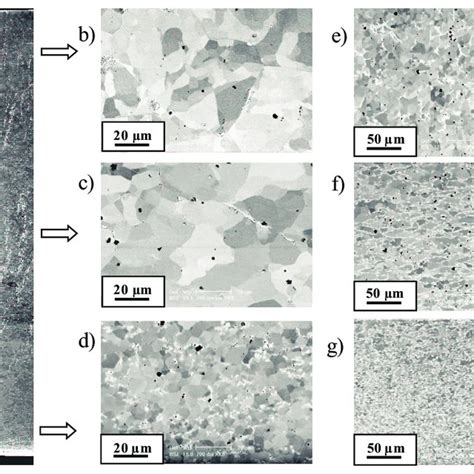 A The Microstructure In The Entire Cross Section Of The Sample Download Scientific Diagram