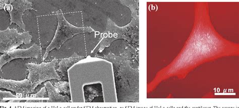 Figure 4 From Development Of A Nano Manipulator Based On An Atomic Force Microscope Coupled With