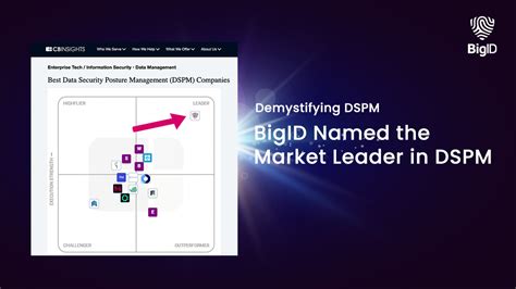 Demystifying Dspm Bigid