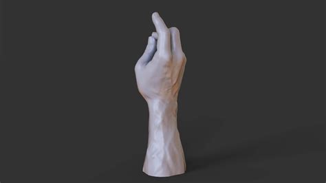 Male Hand Pose Gesture 24 3d Model By Trish