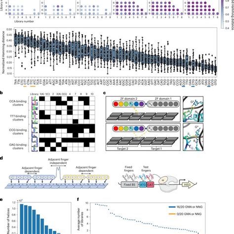 Specificity Solutions Are Library Specific A Top Dot Plot Comparison