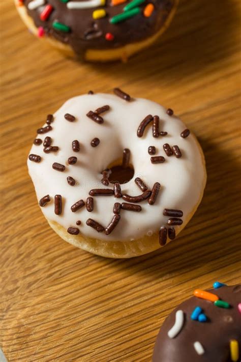 Homemade Small Mini Donuts Stock Image Image Of Baked 310953341