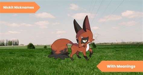 Nickit Nicknames Stealthy Shenanigans Lets Learn Slang