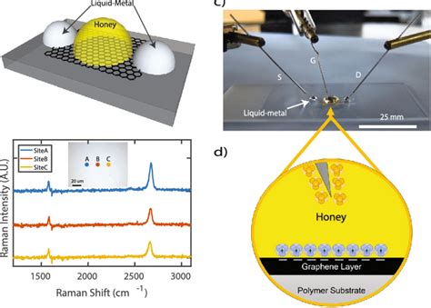 Graphene Based Transistor At Harold Spence Blog