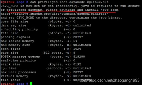 Hadoop入门1：error Cannot Set Priority Of Datanode Process Csdn博客