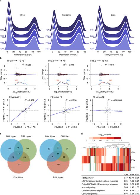 Dna Methylation Profiles Contribute To Multigenerational Plasticity A