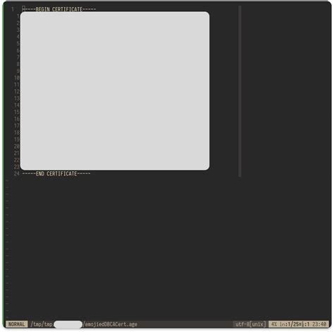 Manage Secrets In Nixos Sekun
