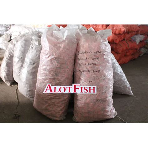 SF20 Brown Gill Net Float PVC Float For Fishing Net