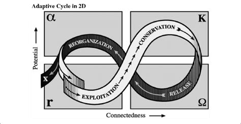 Adaptive Cycle In 2d Source Panarchy 2002 34 Edited By Lance H Download Scientific Diagram