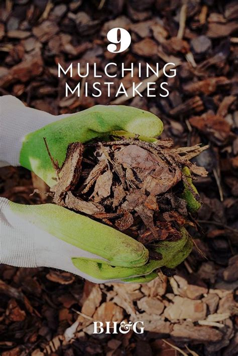 What Is Mulch For Gardens Back Gardener