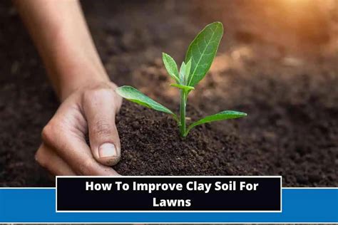 How To Improve Clay Soil For Lawns