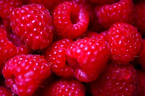 The Crabby Cook Jessica Harper Raspberry Pudding