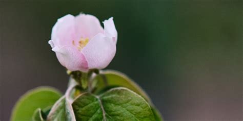 Sequence Making Patterndb Creation For Syslog Ng Easier Blog Syslog Ng Community Syslog