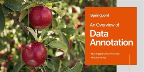 A Beginners Guide To Data Annotation Tips And Best Practices