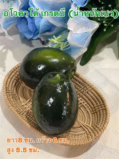 ผลไม้ปลอม อะโวคาโด้ปลอม เกรดบี น้ำหนักเบา ราคาต่อ 1 ลูก