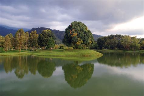 راهنمای سفر به تایپینگ همه چیز درباره تایپینگ کجارو
