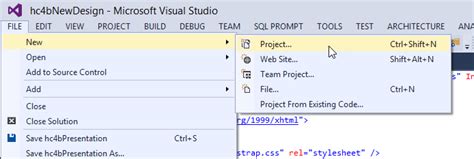 Code Tueni Formulario Básico Responsive En Bootstrap Usando Aspnet