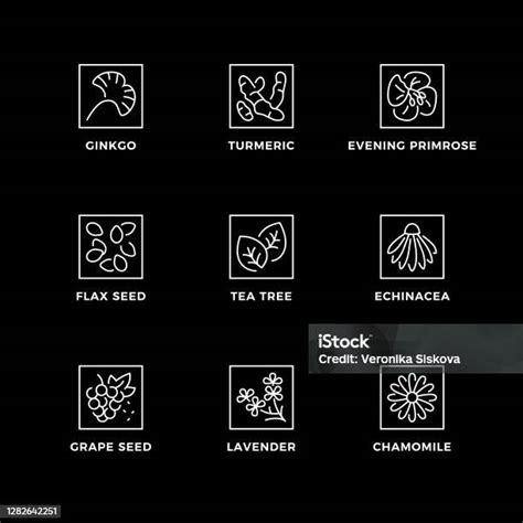 디자인 요소 로고 디자인 템플릿 의료 용 아이콘 및 배지의 벡터 세트 강황에 대한 스톡 벡터 아트 및 기타 이미지 강황 아이콘 달맞이꽃 Istock