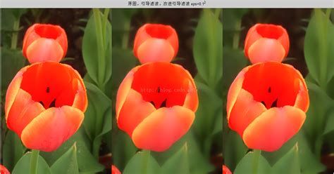 论文gradient Domain Guided Image Filtering Matlab实现代码 Csdn博客