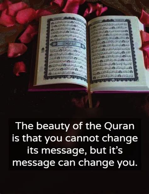 seerat bint bashir posted on linkedin