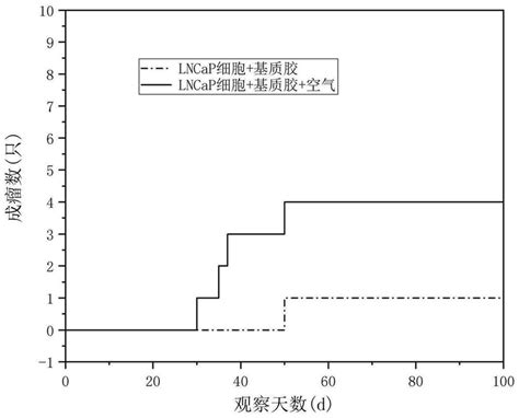 人前列腺癌lncap细胞裸鼠皮下移植模型的构建方法 Cn113455465b 专利顾如