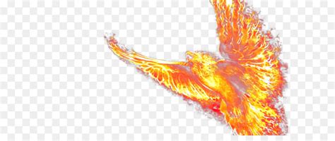 Free Transparent Phoenix Download Free Transparent Phoenix Png Images