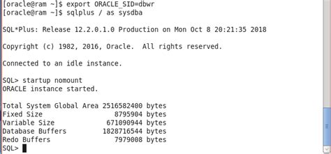 Startup And Shutdown Container Databases Cdb And Pluggable Databases Pdb In Oracle Database