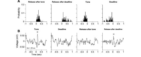 Event Related Potentials Dissociate Stimulus Triggered And Timed Download Scientific Diagram