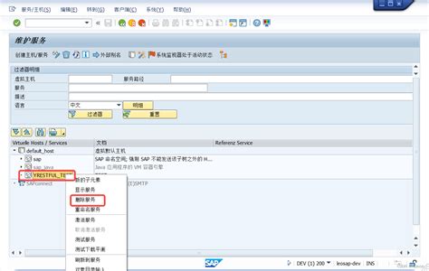 【sap Abap】sap Webservice And Restful 接口服务发布教程abap Webservice接口开发 Csdn博客