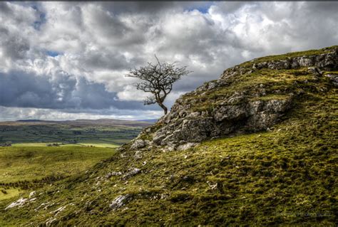 Quantum Deep Learning A Quick Guide To Quantum Convolutional Neural Networks By Holly Emblem