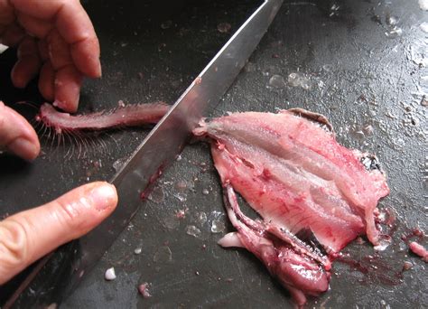 Sardines How To Descale And Bone Them Fincafood