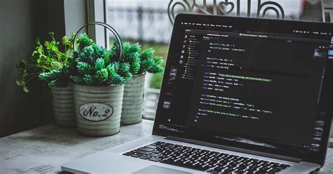Membuat Pencarian Data Dengan Codeigniter Sinauo