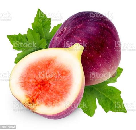 신선한 무화과 과일과 흰색 배경에 고립 된 조각 흰색 배경에 고립 된 잎무화과 무화과 0명에 대한 스톡 사진 및 기타 이미지