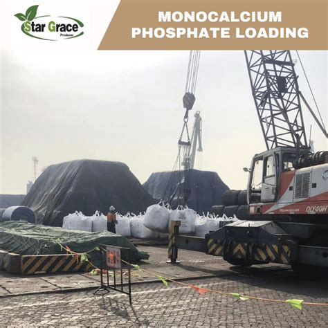 China The Trends Of Monocalcium Phosphate Mcp In Production And