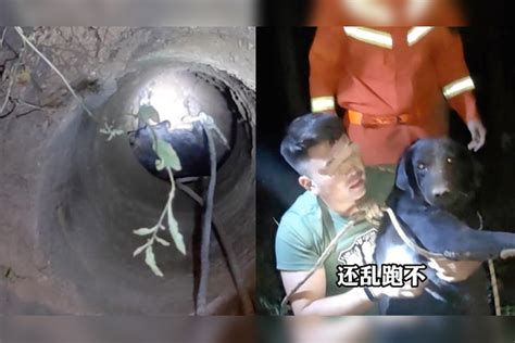 狗子掉进井里，男子让儿子头朝下下井救狗，网友：有父爱但不多头朝儿子男子
