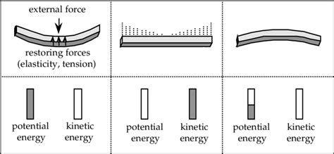 When An Object Is Deformed By An External Force Internal Restoring