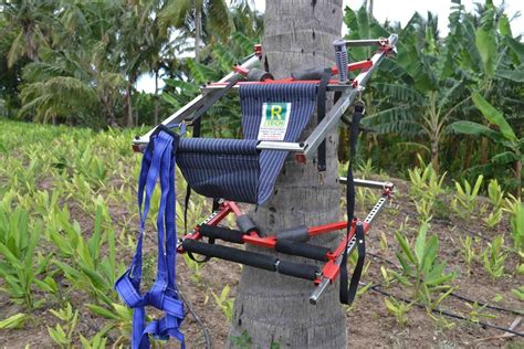 Multi Tree Climber XL Series Model No XL At Best Price In Coimbatore ID