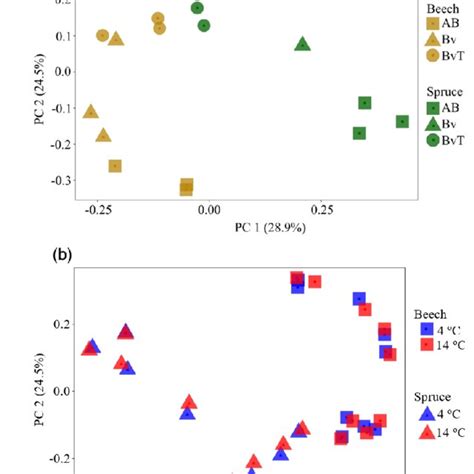 Bacterial Community Composition And Community Structure From Beech And Download Scientific