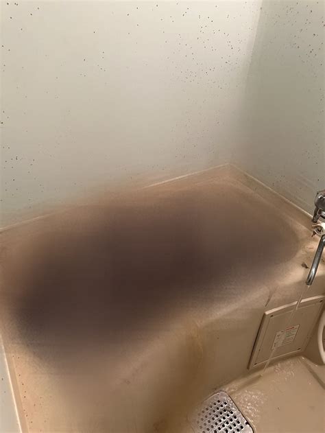 作業実績 特殊清掃・遺品整理・生前整理・ゴミ屋敷清掃・デジタル遺品整理なら北海道 札幌の浄化舎本舗