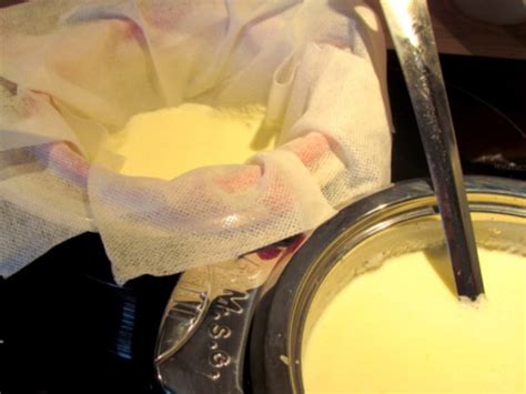 Mladi Sir Oblizniprste Si