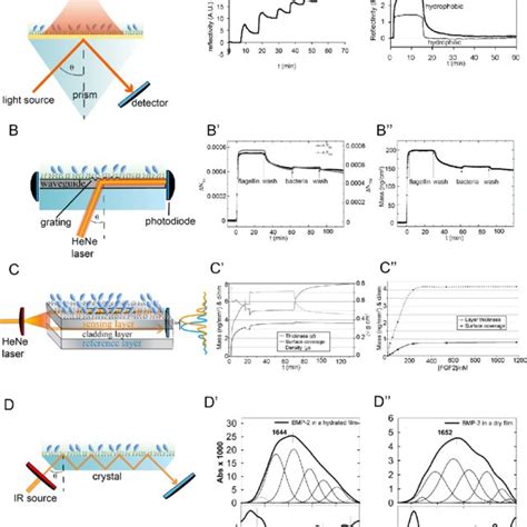 Current Microneedle Devices A Microstructured Transdermal System