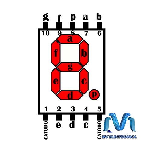Display De 7 Segmentos Catodo Amarillo 56x38mm 1 8