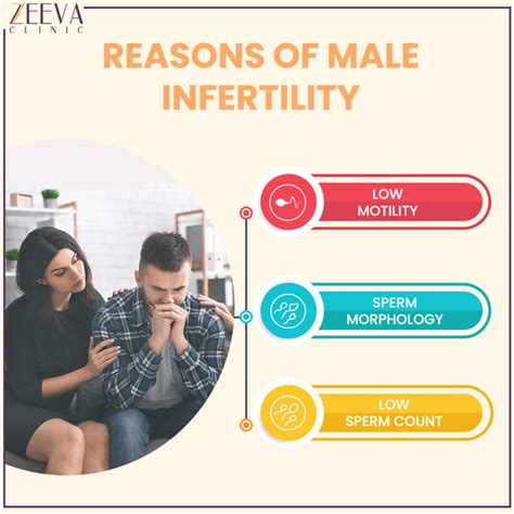 Why Does Sperm Count Matter If Sperm Can Fertilise An Egg