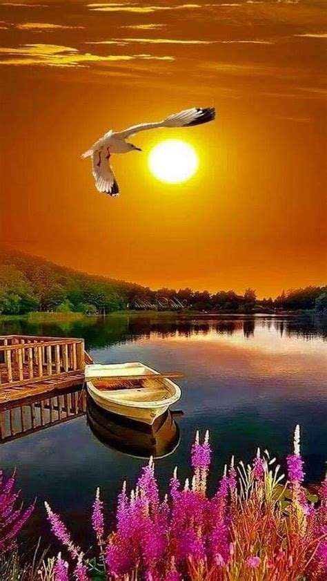 สวัสดียา รูปภาพวิวธรรมชาติสวยๆ ดอกไม้ ทะเล สุดสวย น่าร้กๆ